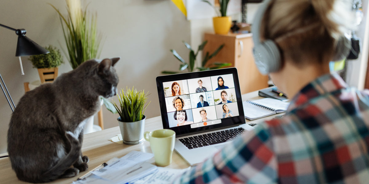 Télétravail avec un chat : comment gérer la cohabitation ? – ÉQUILIBRE ...