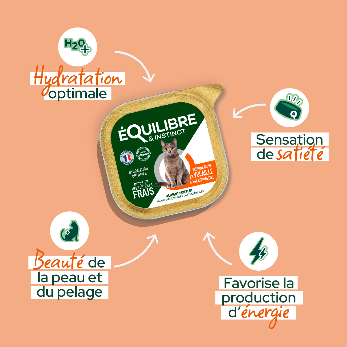 Pâtées, mousses et terrines pour chat – ÉQUILIBRE & INSTINCT